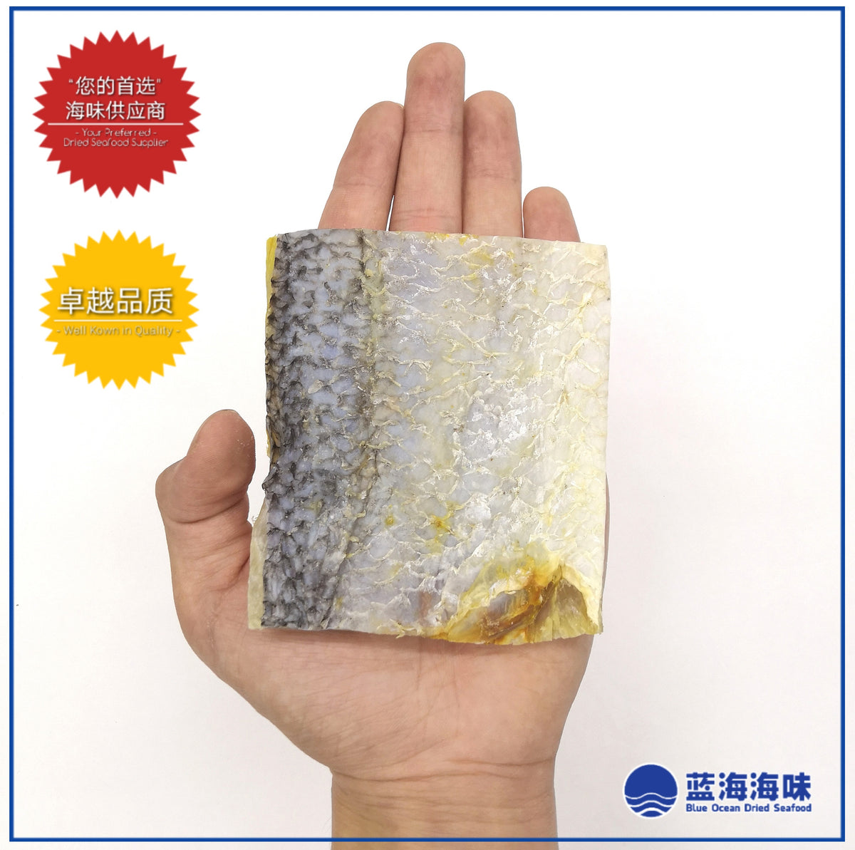 丹佬咸魚干 │ Kurau Salted Fish │ Ikan Kurau Masin – 蓝海海味 Blue Ocean Dried ...